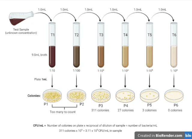 Serial Dilution Method for Estimating Viable Count of Bacteria ... Serial Dilution Method for Estimating Viable Count of Bacteria ...