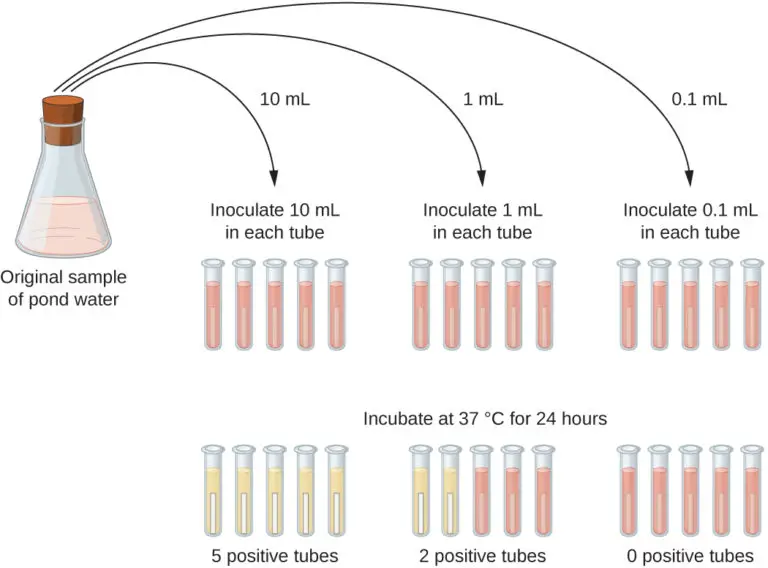 Most Probable Number (MPN) Test: Principle, Procedure, Results ... Most Probable Number (MPN) Test: Principle, Procedure, Results ...