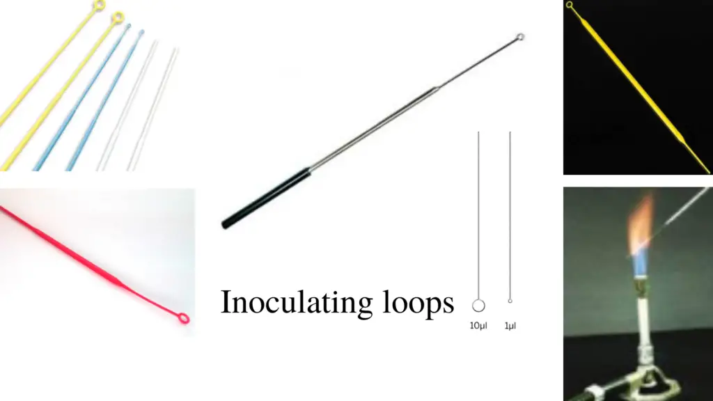 Inoculating Loop Types And Uses • Microbe Online 6110